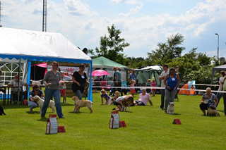 Special Princess - weblog